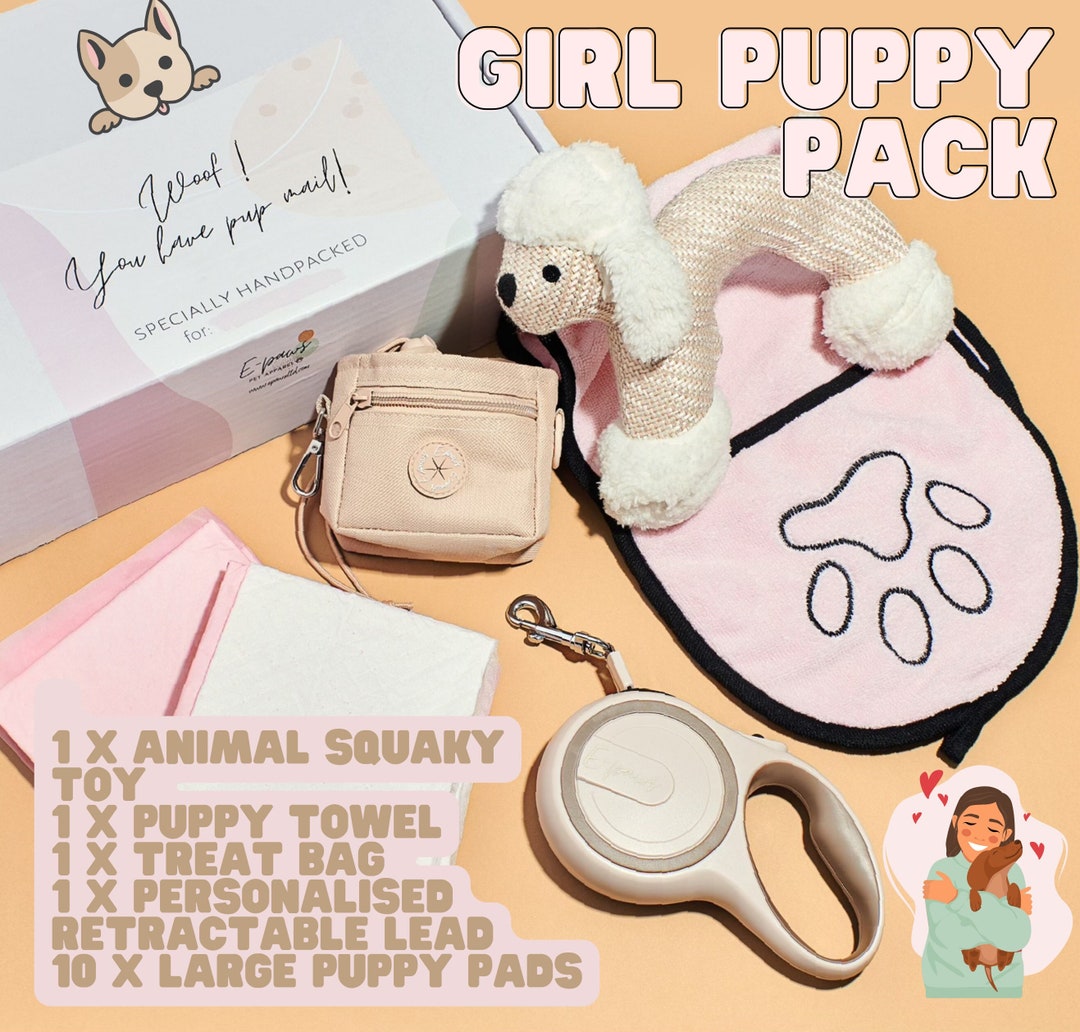 Personalised Puppy Gift Box Pack | Welcome Home | Treat Bag ...