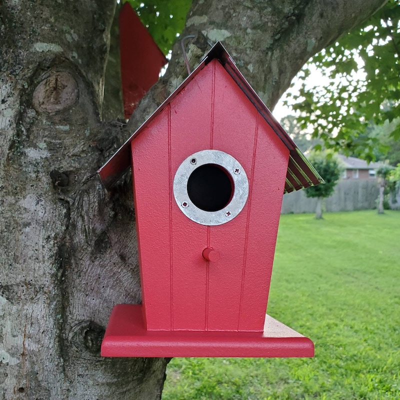 Red Bird - Etsy