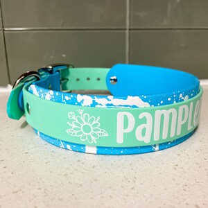 Custom Name Splatter Paint - Biothane Dog Collar - Two-tone 1.5 in ...
