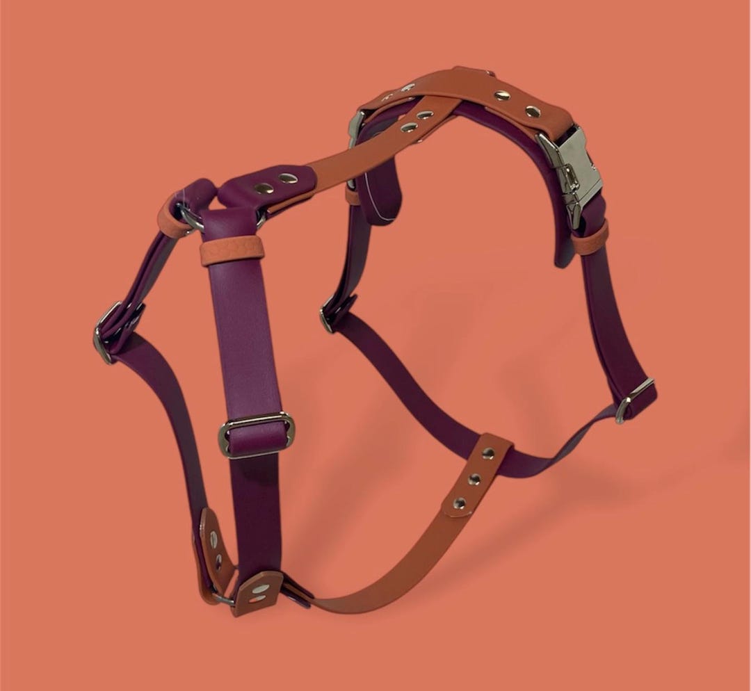 Biothane Dog Harness - Waterproof, Stink-proof, Easy to Clean, Dog ...