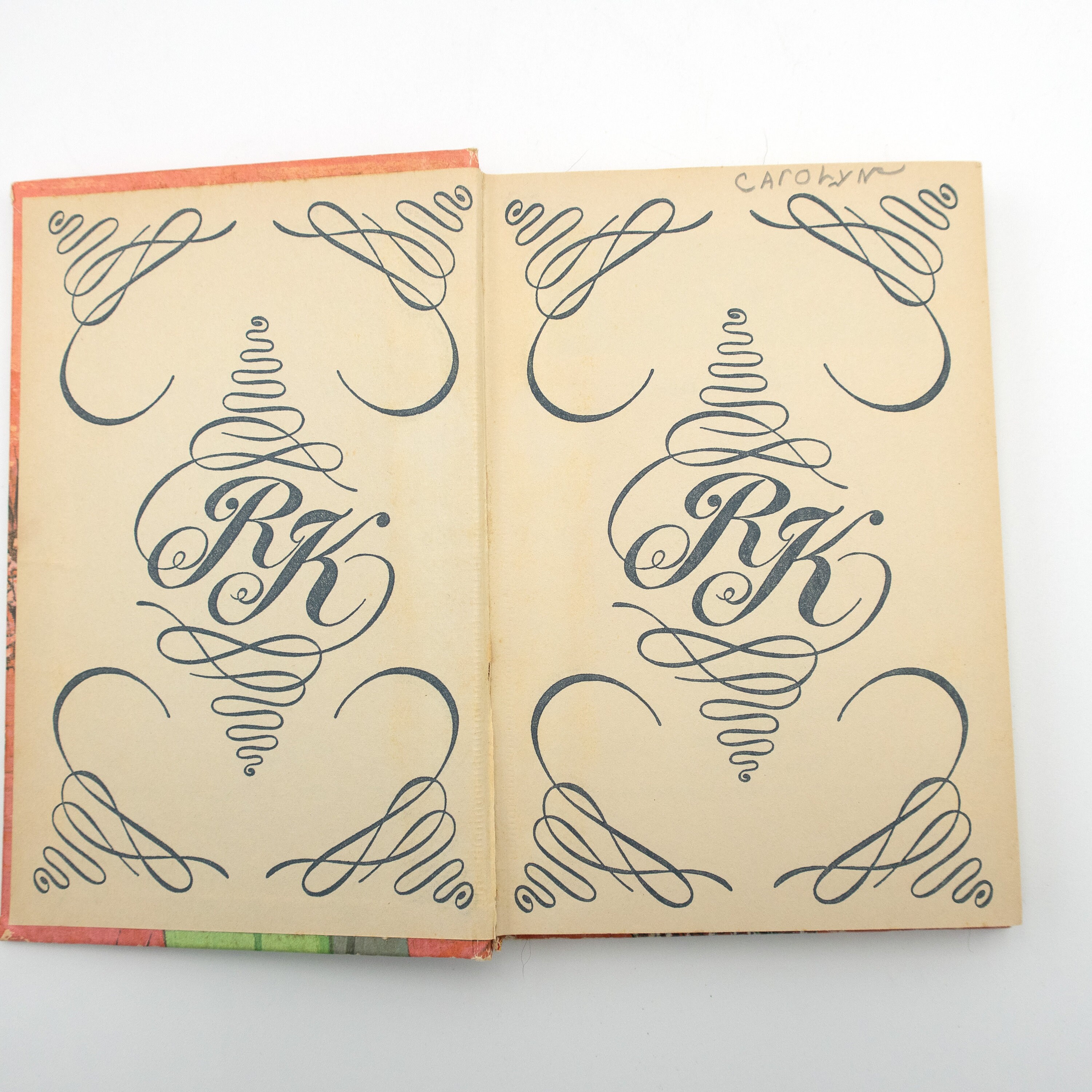 Vintage Robin Kane Mystery Books by Eileen Hill for Young Readers - Etsy