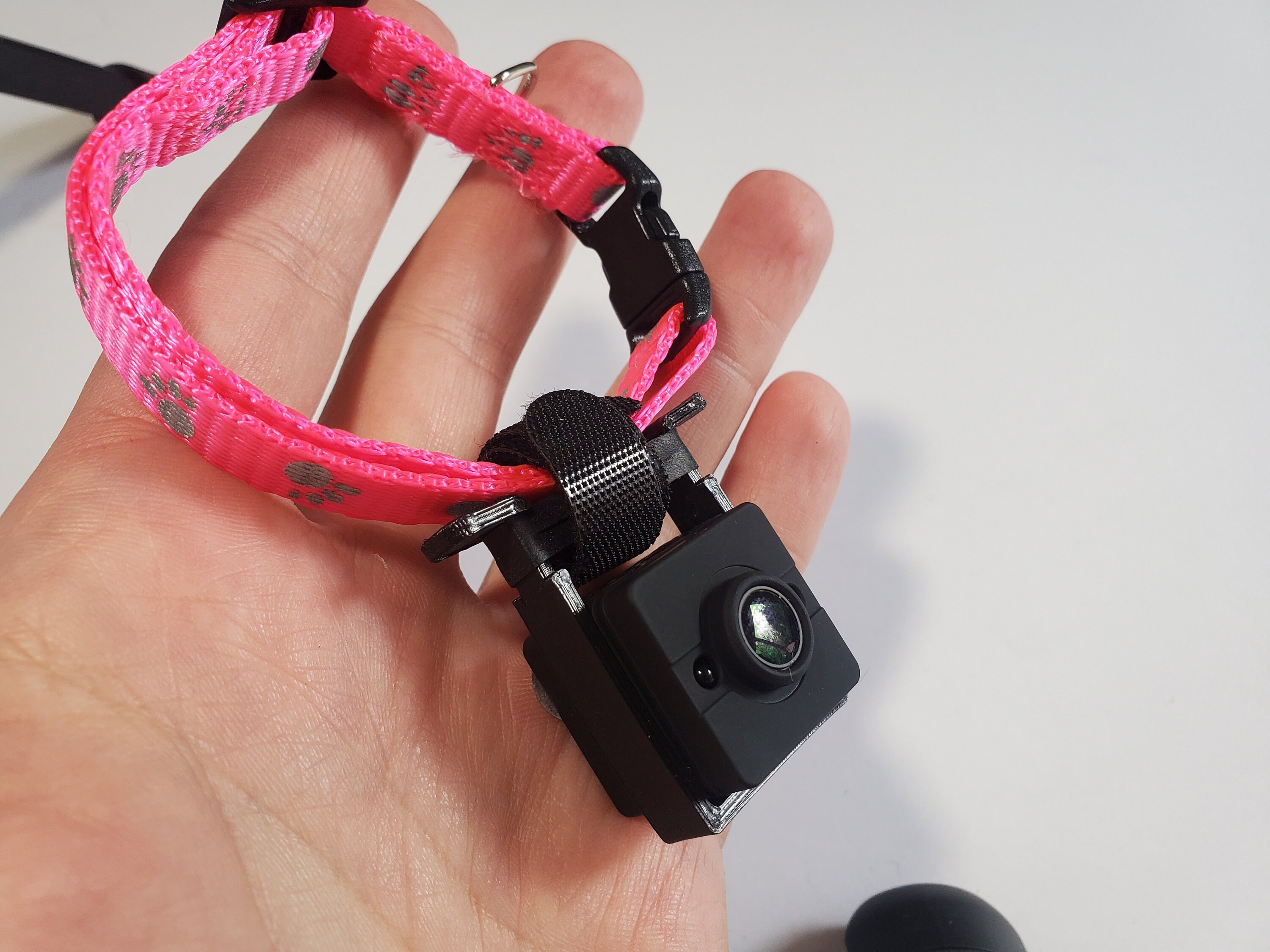 Mr Petcam HD Cat Collar Camera Collar Mounted Pet Camera for Cats ...