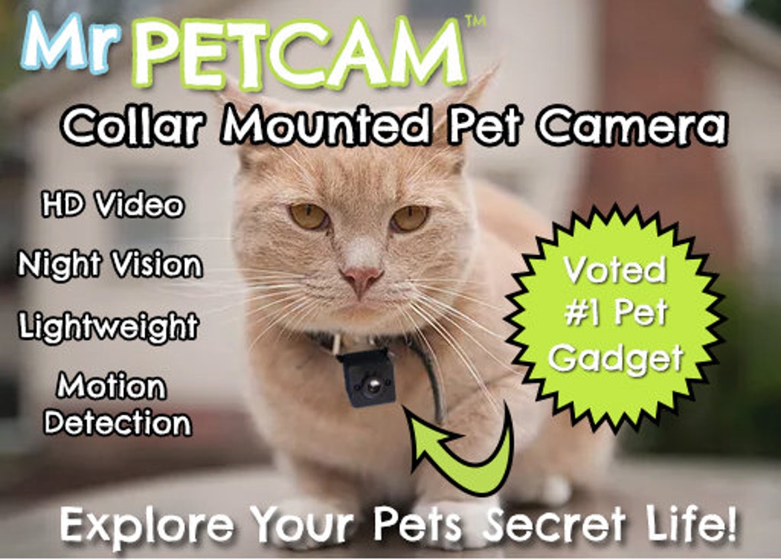 Mr Petcam HD Cat Collar Camera Collar Mounted Pet Camera for Cats ...