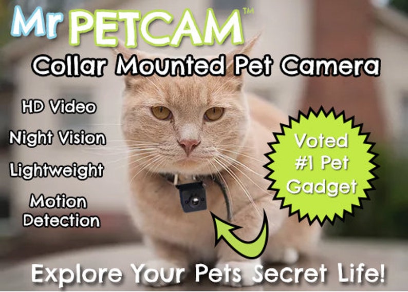 Mr Petcam HD Cat Collar Camera Collar Mounted Pet Camera for Cats & Dogs - Etsy