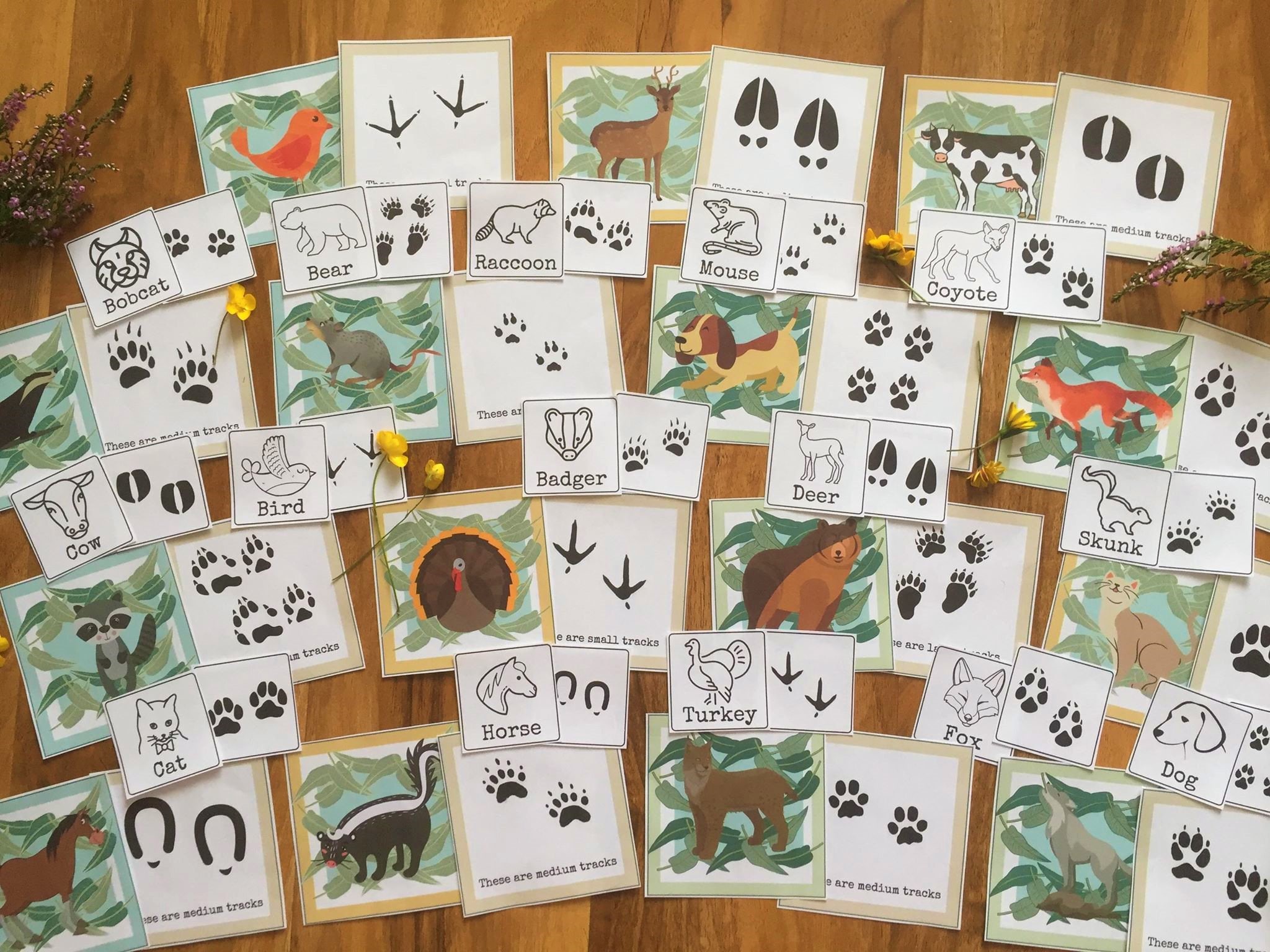 Animal Tracks Cardsmontessori Three Part Cards Nomenclature - Etsy