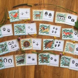 Animal Tracks Cards,montessori Three Part Cards, Nomenclature Cards ...