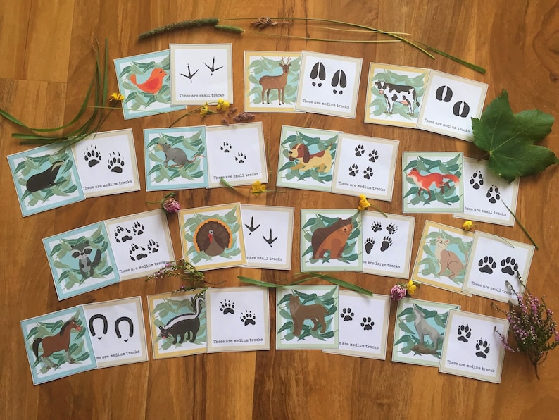 Animal Tracks Cards,montessori Three Part Cards, Nomenclature Cards ...