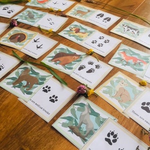 Animal Tracks Cards,montessori Three Part Cards, Nomenclature Cards ...
