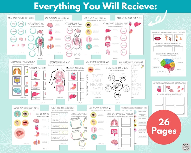 Human Anatomy Printables Set Body Parts Printable | Etsy