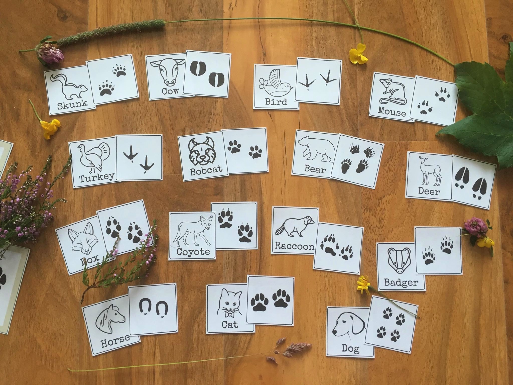 Animal Tracks Cardsmontessori Three Part Cards Nomenclature - Etsy