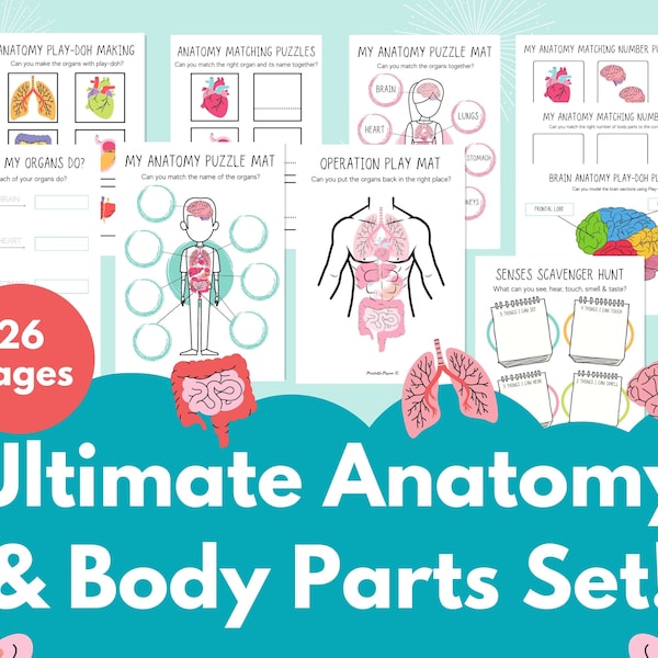 Human Anatomy Printable - Etsy