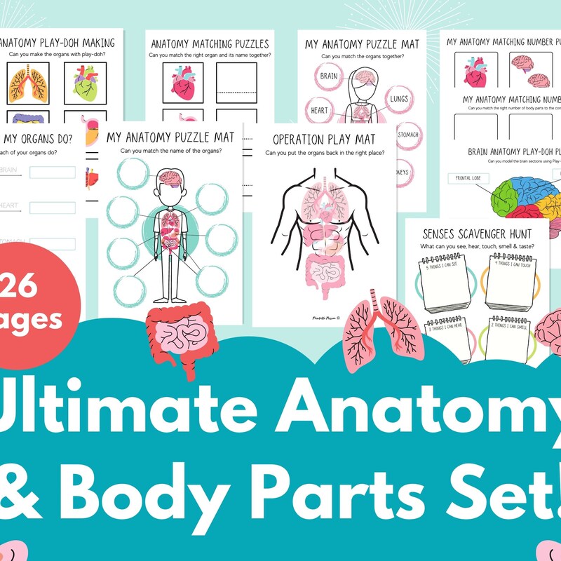 Parts of the Body - Etsy