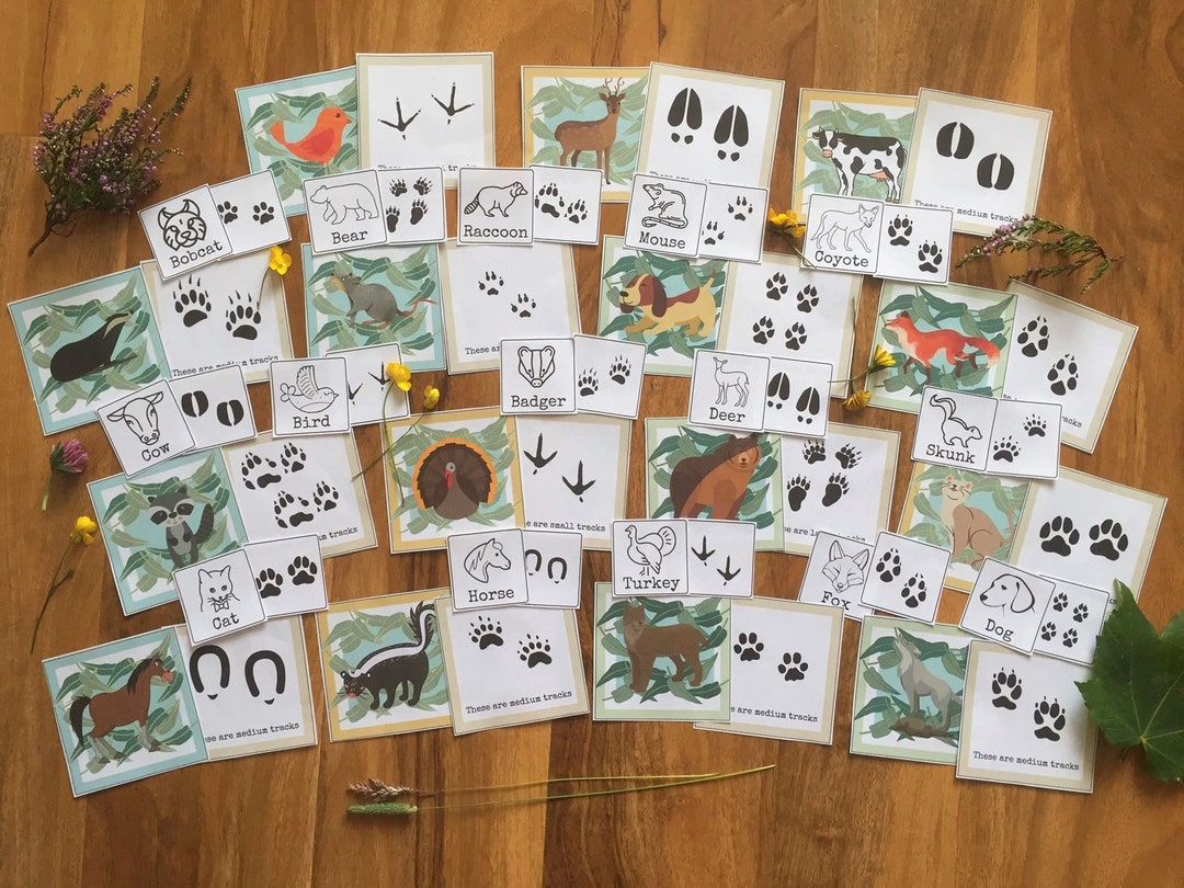 Animal Tracks Cards,montessori Three Part Cards, Nomenclature Cards ...
