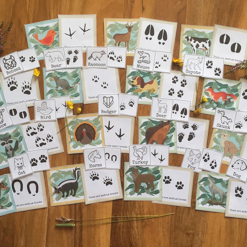 Animal Tracks - Etsy