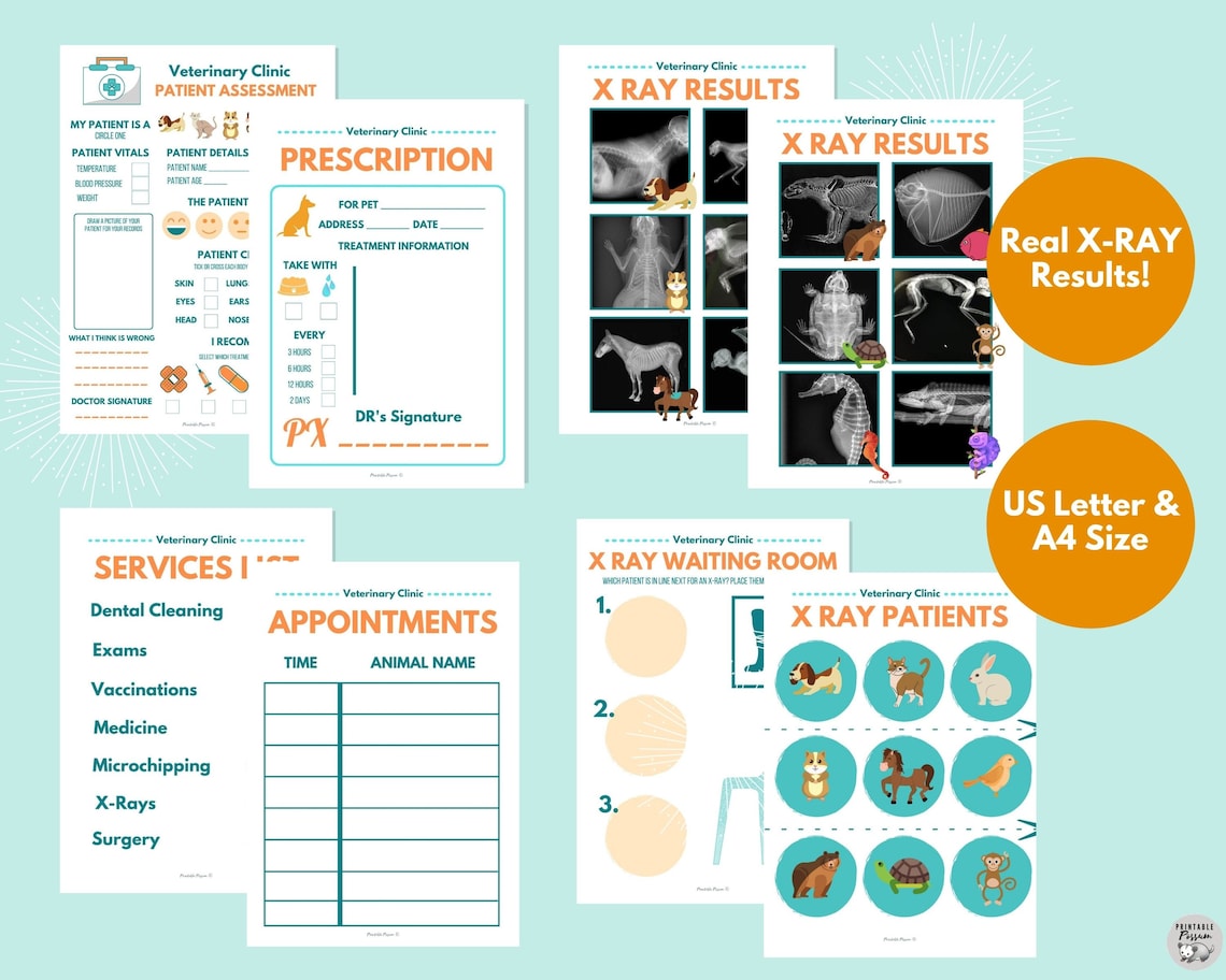 Ultimate Veterinarian Pretend Play Printable Pretend Play - Etsy