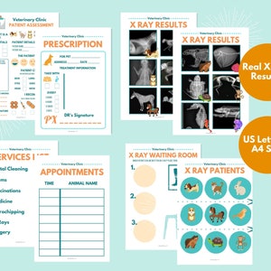 Ultimate Veterinarian Pretend Play Printable, Pretend Play Set ...