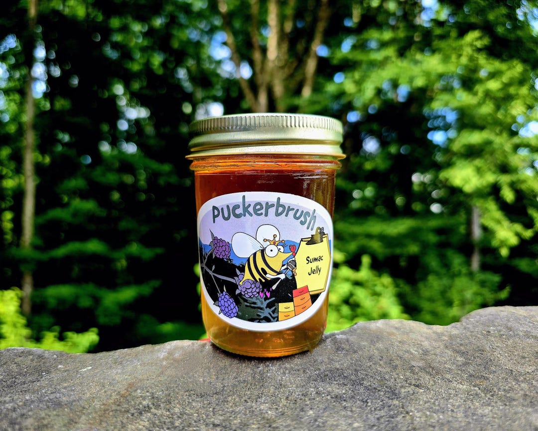 Homemade Sumac Jelly - Hand Gathered, New Hampshire Made (8 Ounce Jar ...