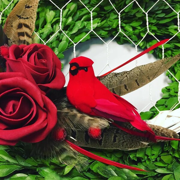 Feather Assortment - Etsy