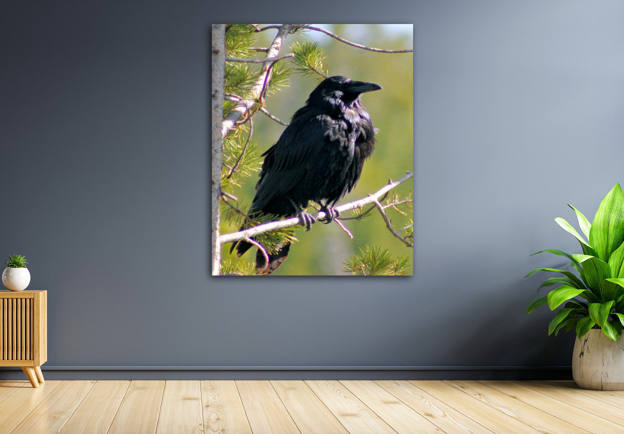 Raven DIY Printable Photo Download More Than 50 Sizes - Etsy