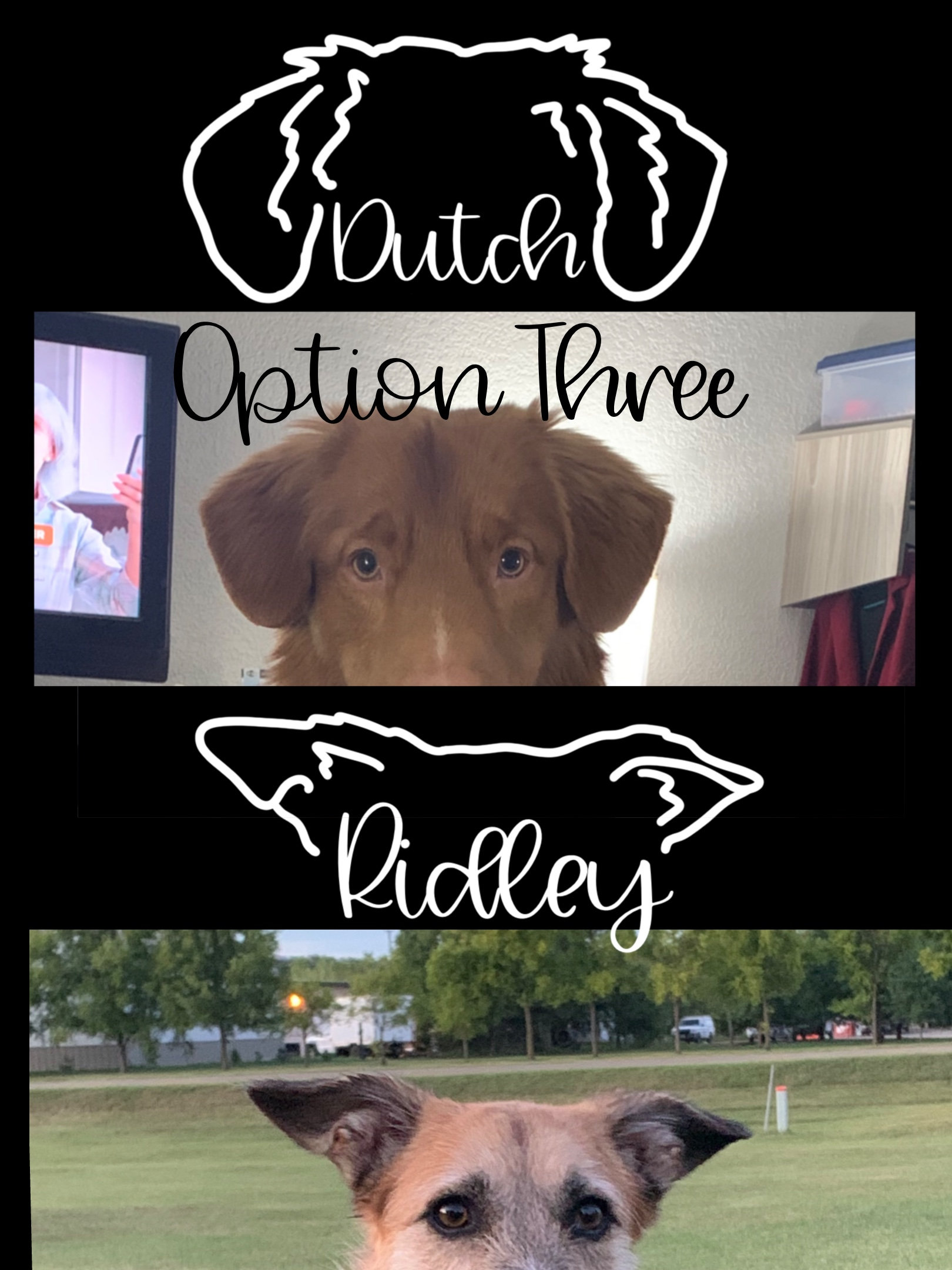 Custom Pet Ears Sticker Decal / Dog Ears Sticker Decal Car | Etsy