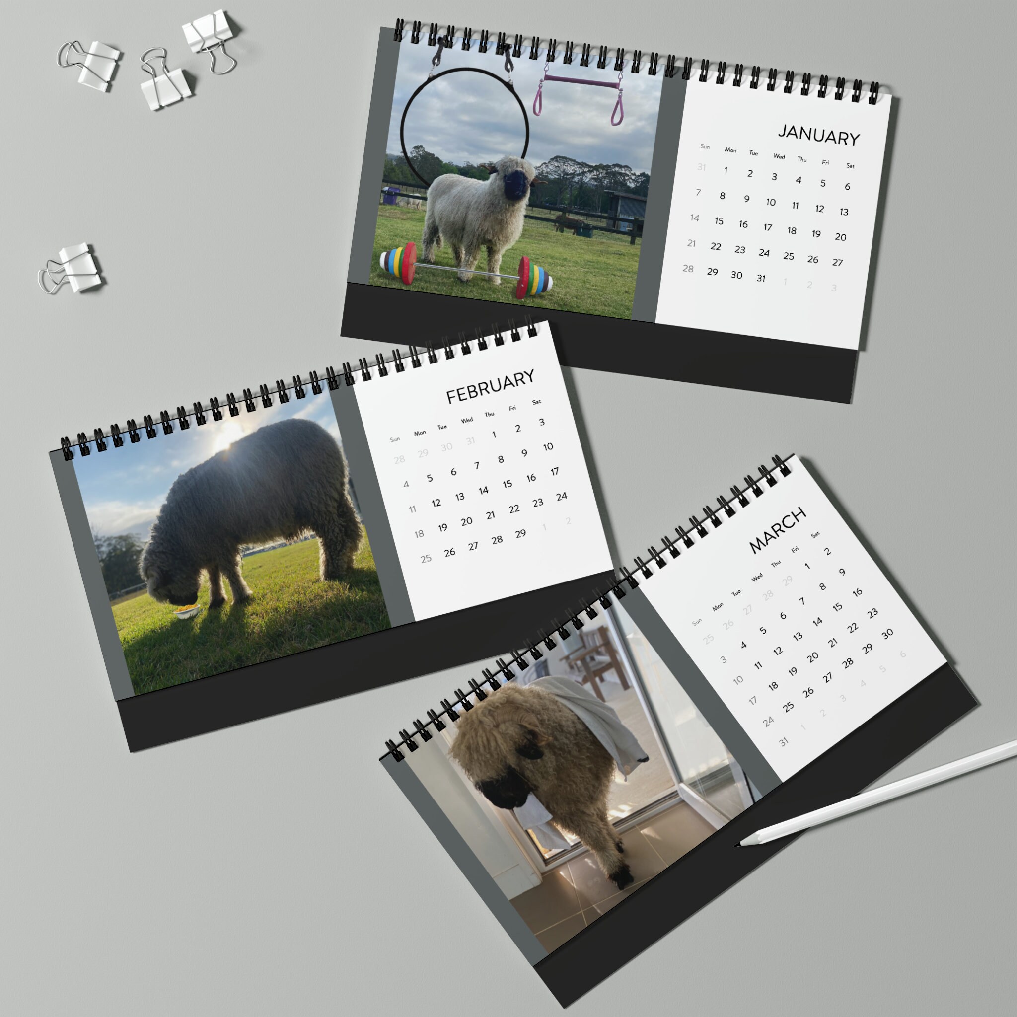 Valais Desktop Calendar 2024 Grid Ships From US - Etsy