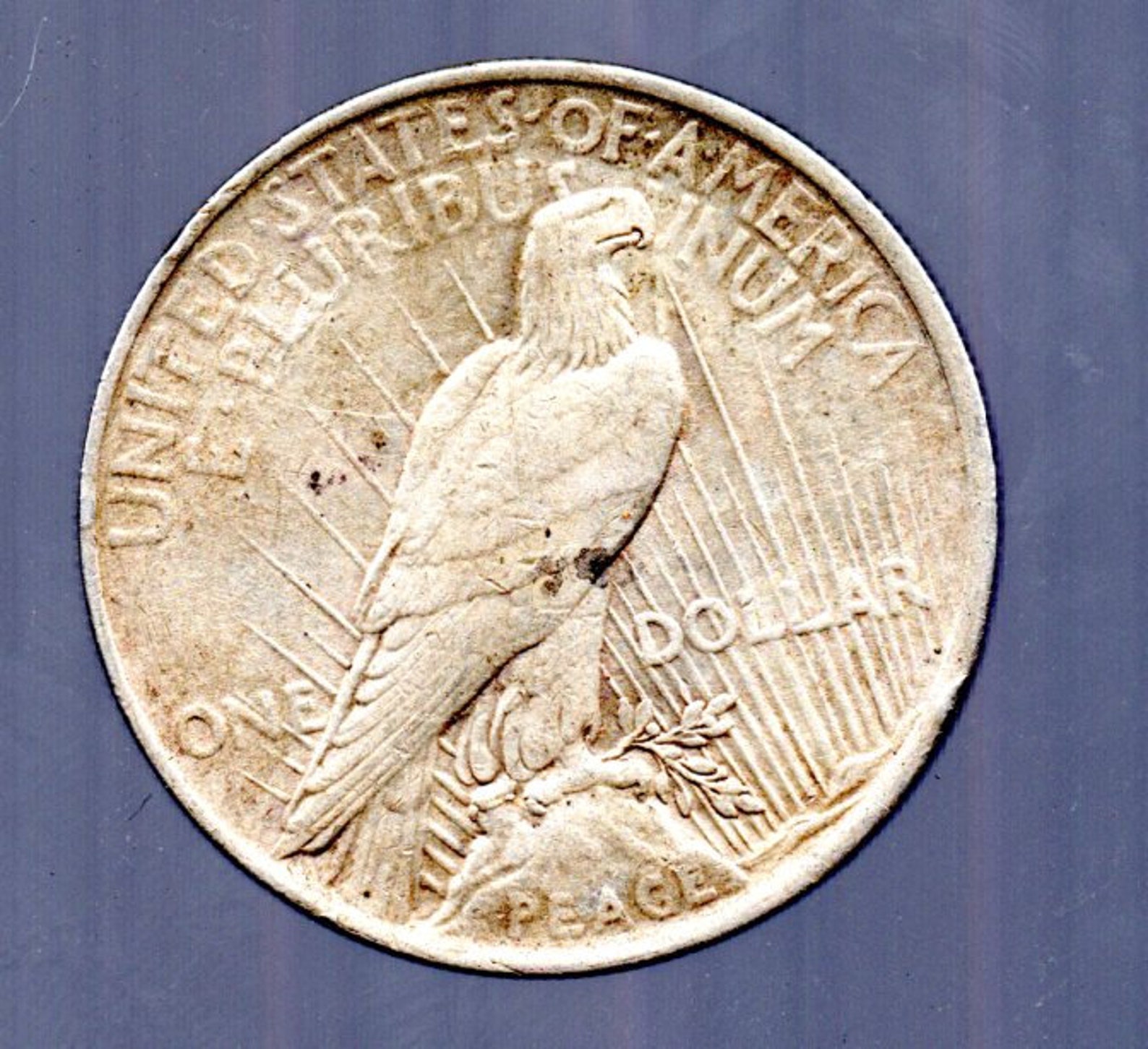 Granny Estate Find 1922 Peace Dollar High Grade 90% Silver | Etsy