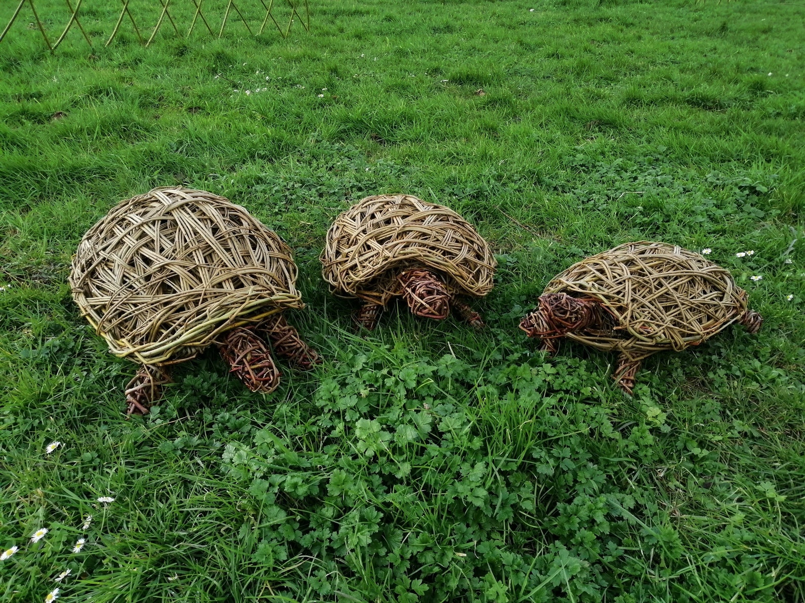 Willow Tortoise Sculpture, Sustainable Garden Sculpture, Animal ...