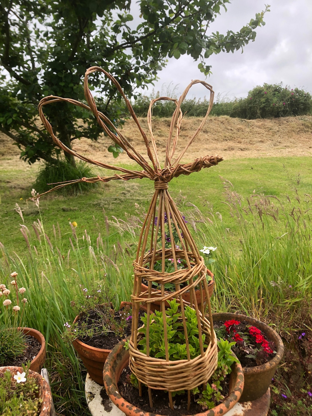 Dragonfly, Willow Plant Support, Pot Plant Decoration, House Plant ...