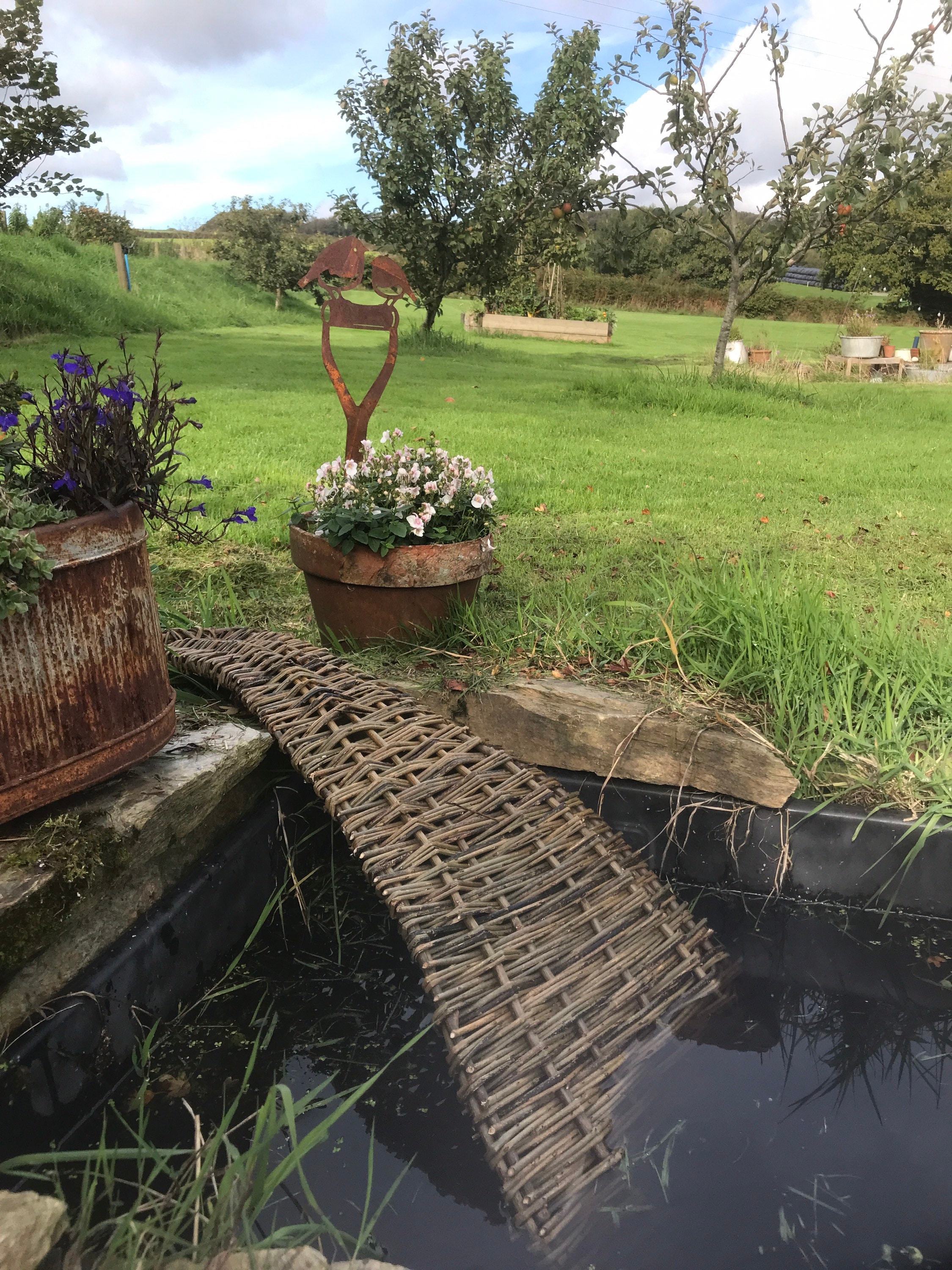 Hedgehog Pond Ramp Hedgehog Conservation Pond Decorations - Etsy UK