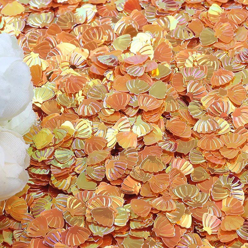 20G Shell Iridescent Glitter Shell Shiny Glitter Glitter for | Etsy