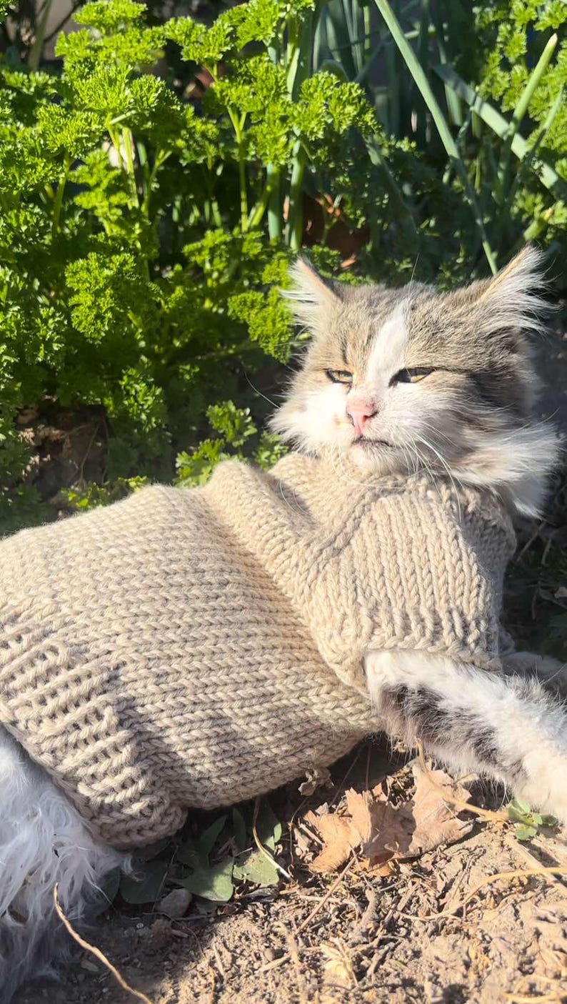 Knitting Pattern Cat Sweater, Pet Clothes Pattern, Basic Cat Sweater ...