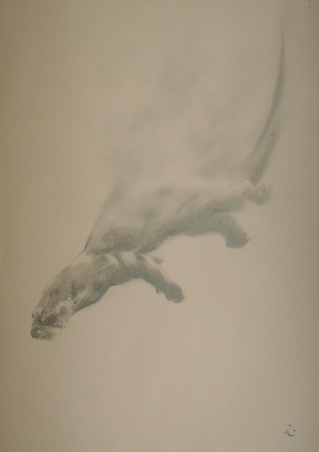 Original Graphite Drawing in A4 - Etsy