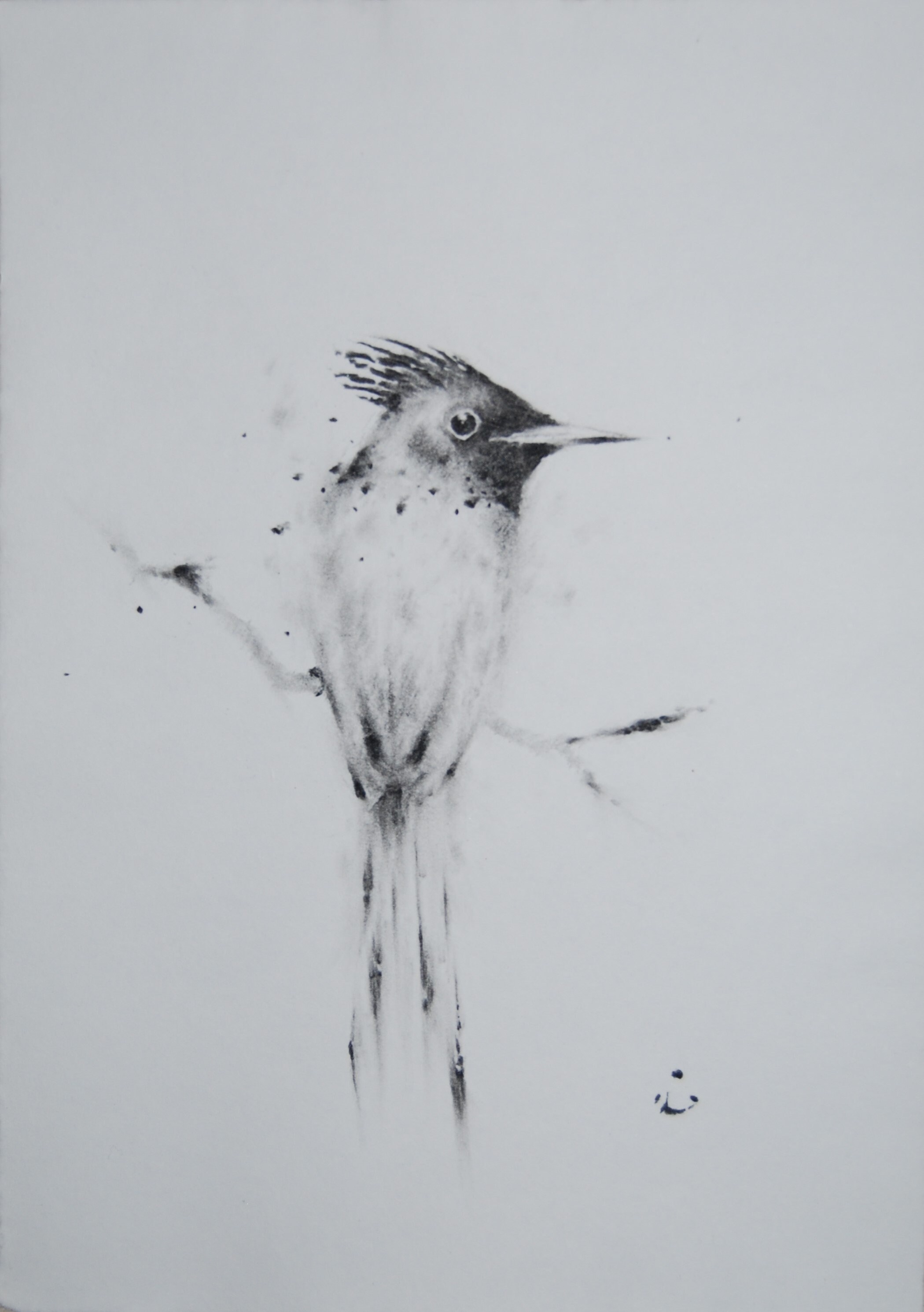 Bird Drawing Animal Drawing, Minimalism Minimal Art, A4 Original ...
