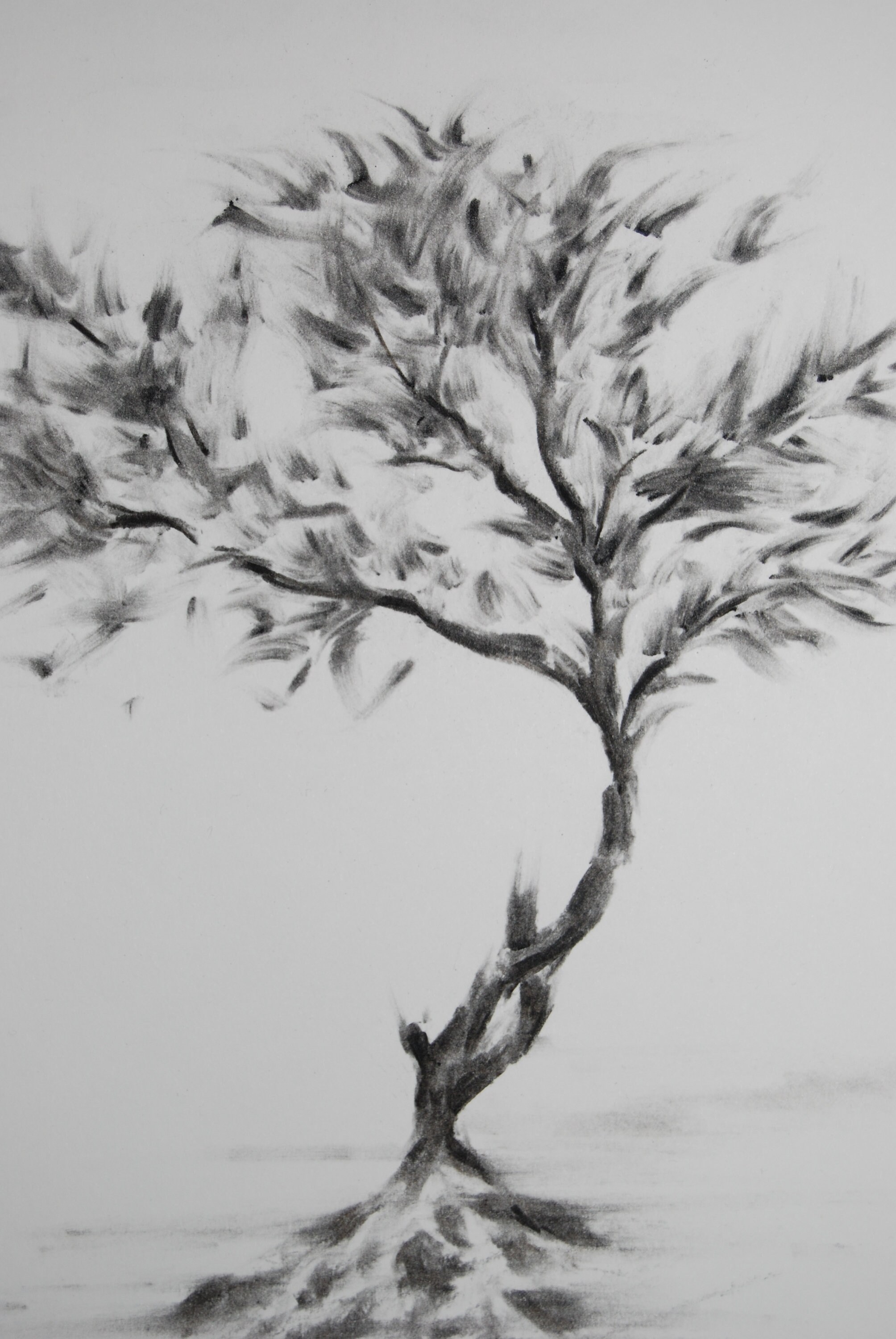 Original Charcoal Tree Drawing in A4, Fixed - Etsy