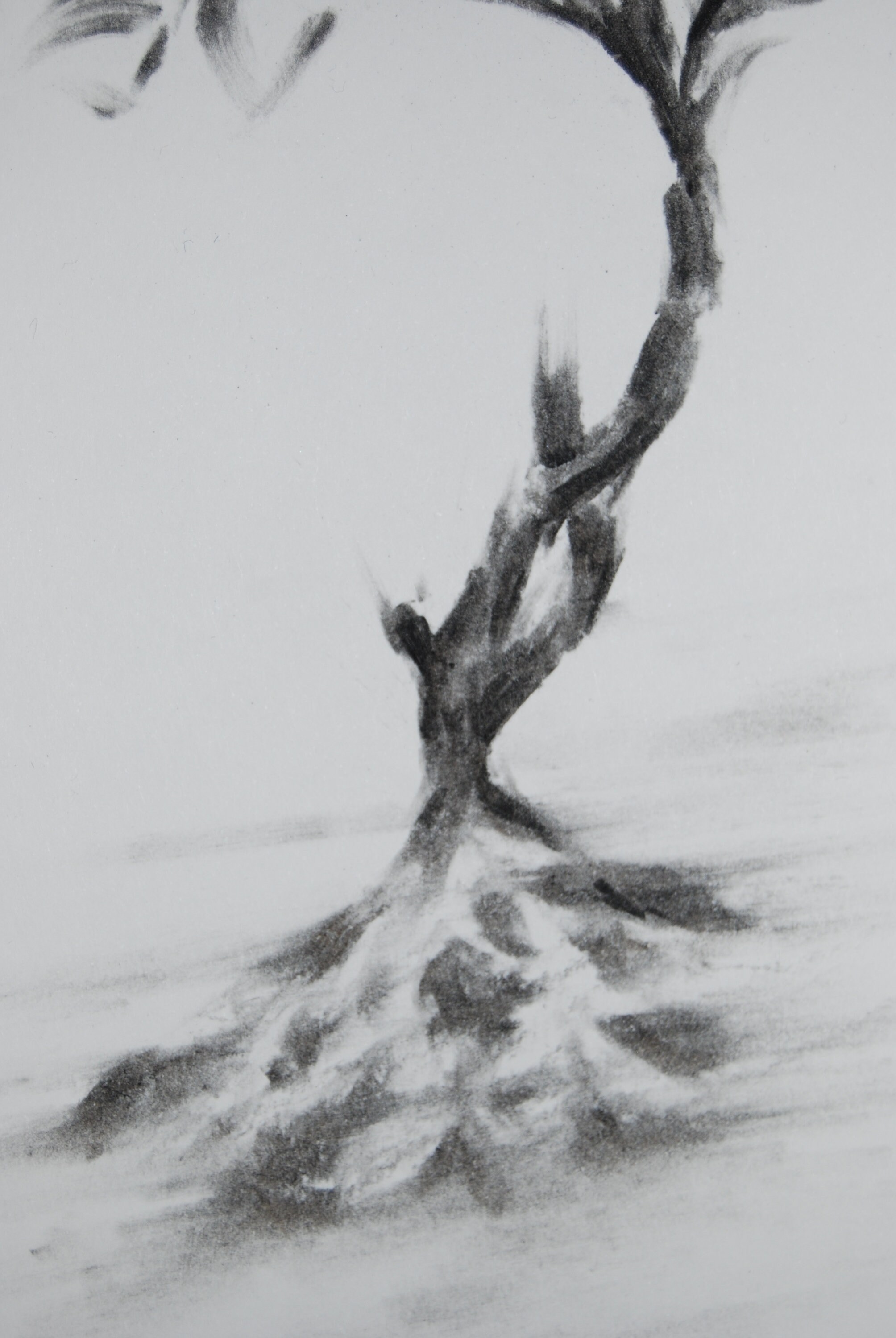 Original Charcoal Tree Drawing in A4, Fixed - Etsy