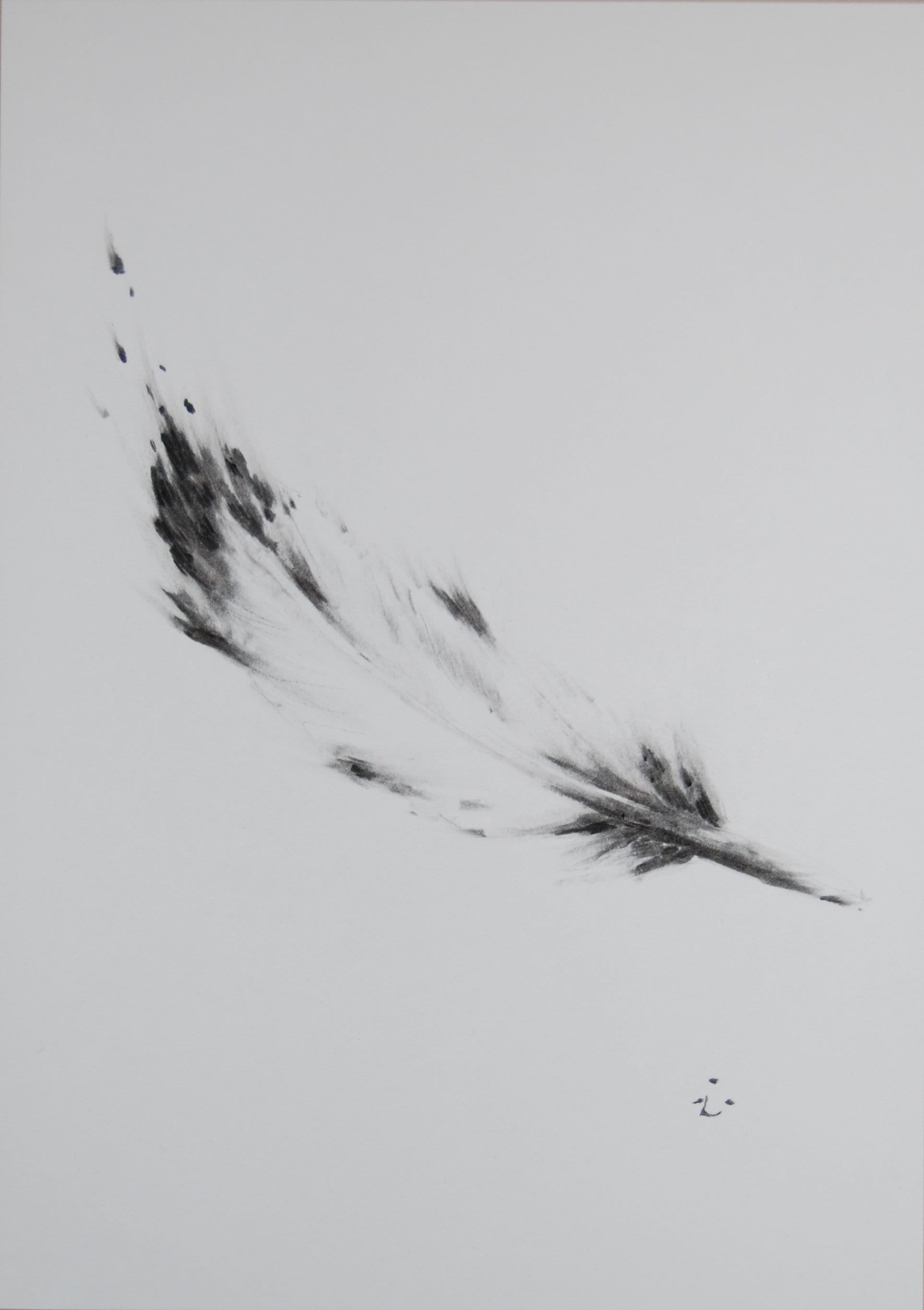 Falling Feather Sketch