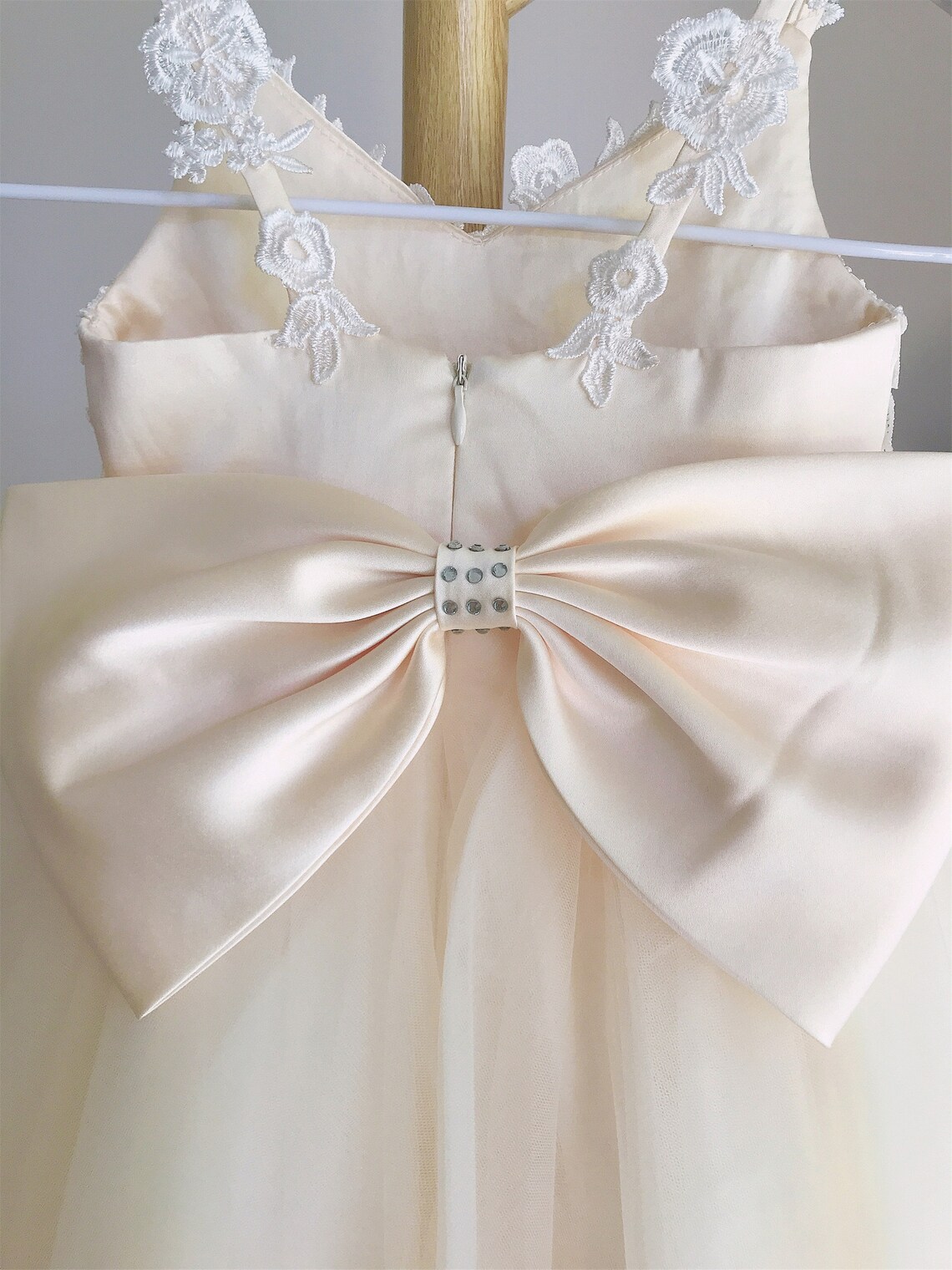Lace Flower Girl Dress Champagne Flower Girl Dress Tulle Etsy