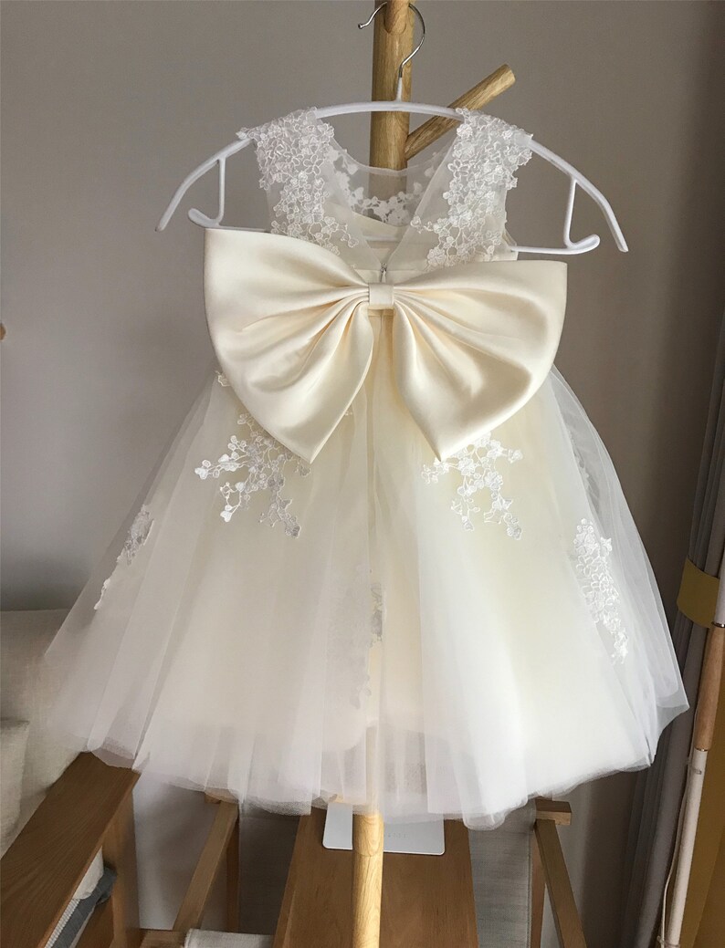 Lace Champagne Flower Girl Dress Tulle Flower Girl Dress Etsy
