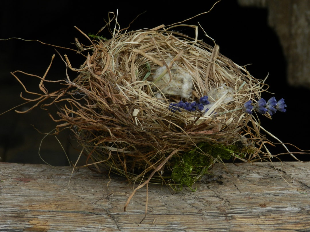 Bird Nest With Lavender | Handmade Birds Nest | Ring Bearer Nest - Etsy