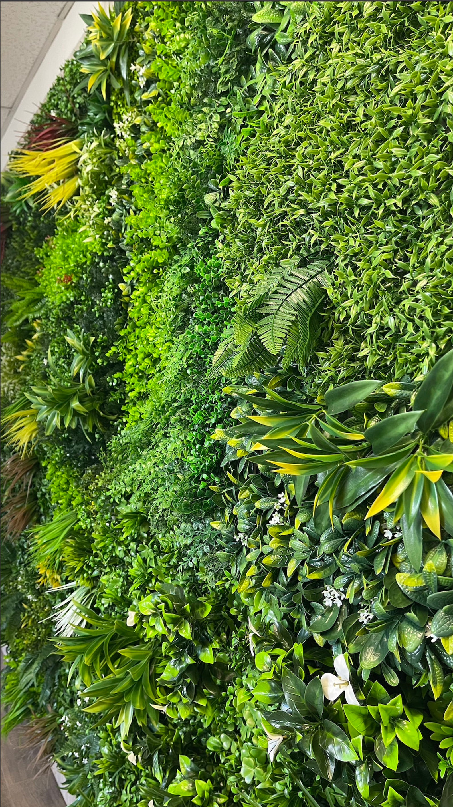 Atlantis Artificial Hedge Green Living Wall - Living Wall Panel 40" X ...