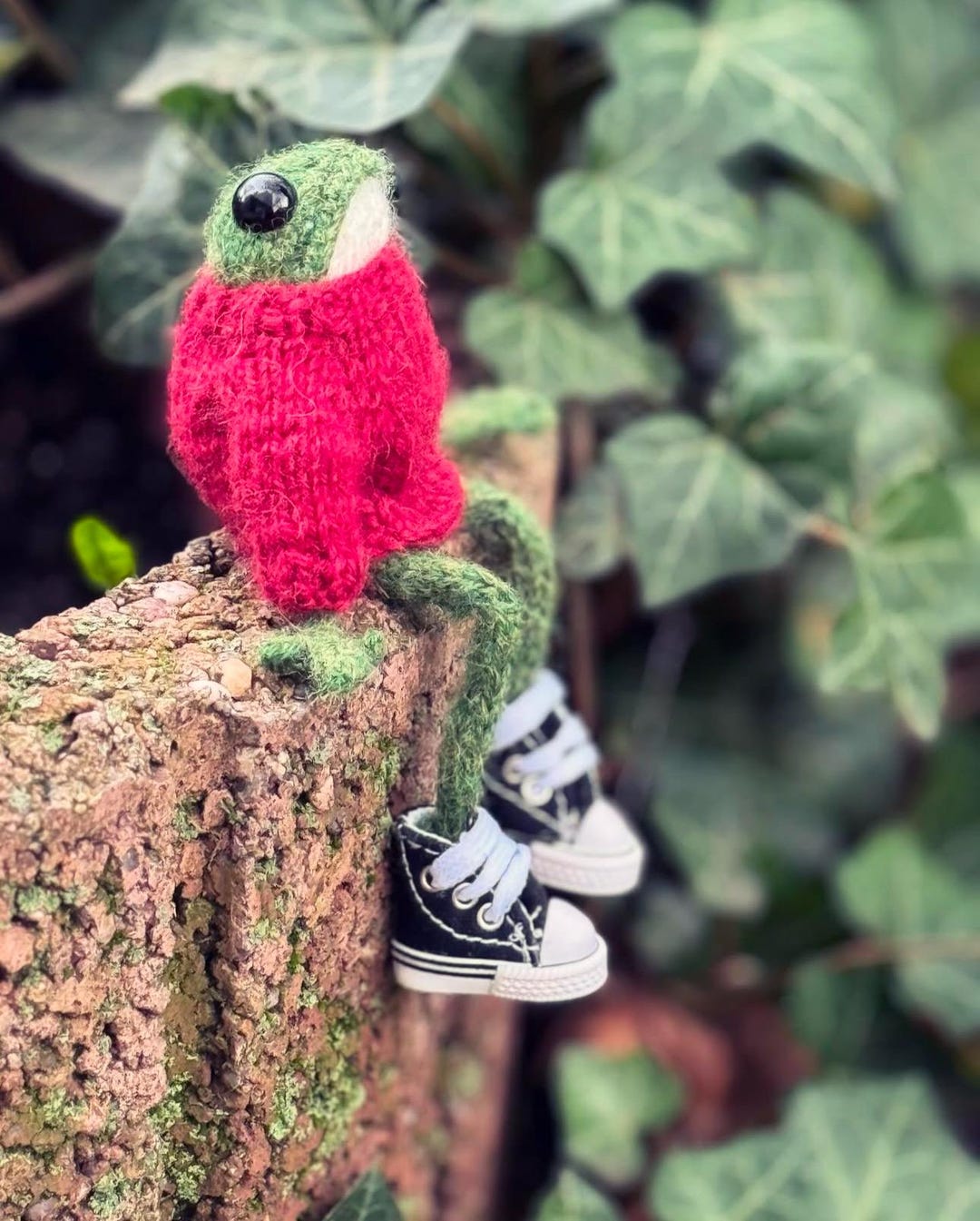 Green Knitted Frog, Real Leather Black Shoes, Red Alpaca Frog Sweater ...