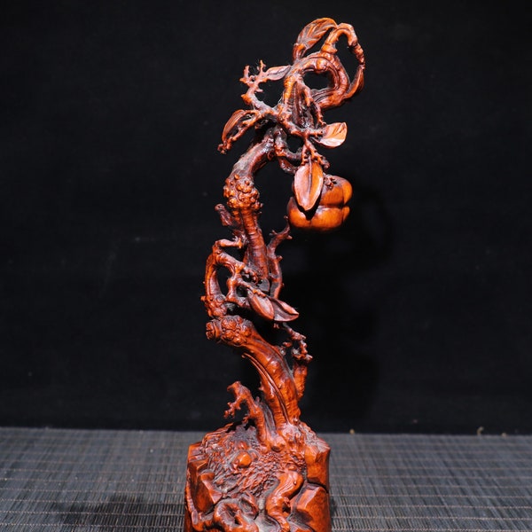 Persimmon Tree - Etsy