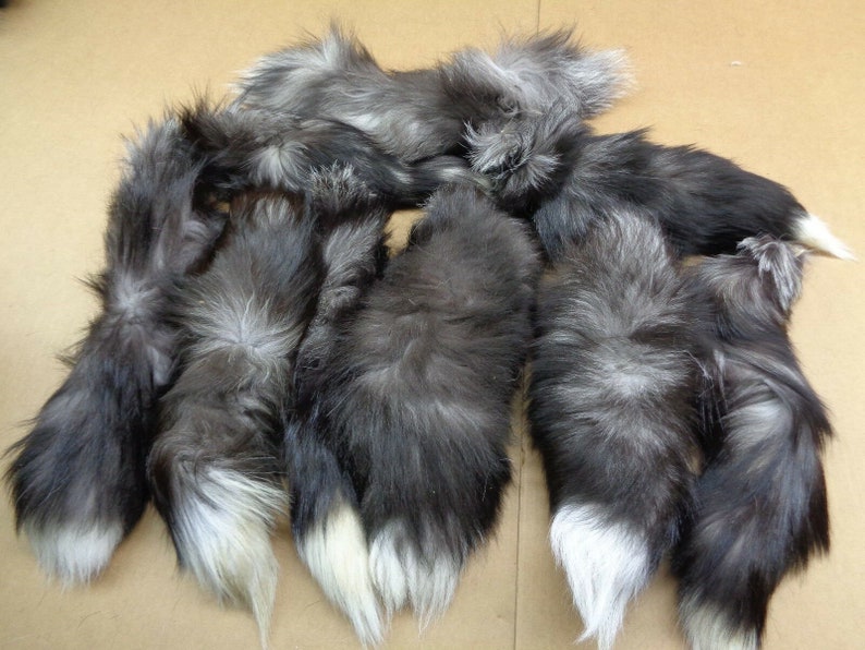 Real XL Tanned Silver Fox Tail 15-16 USA grade 1 - Etsy