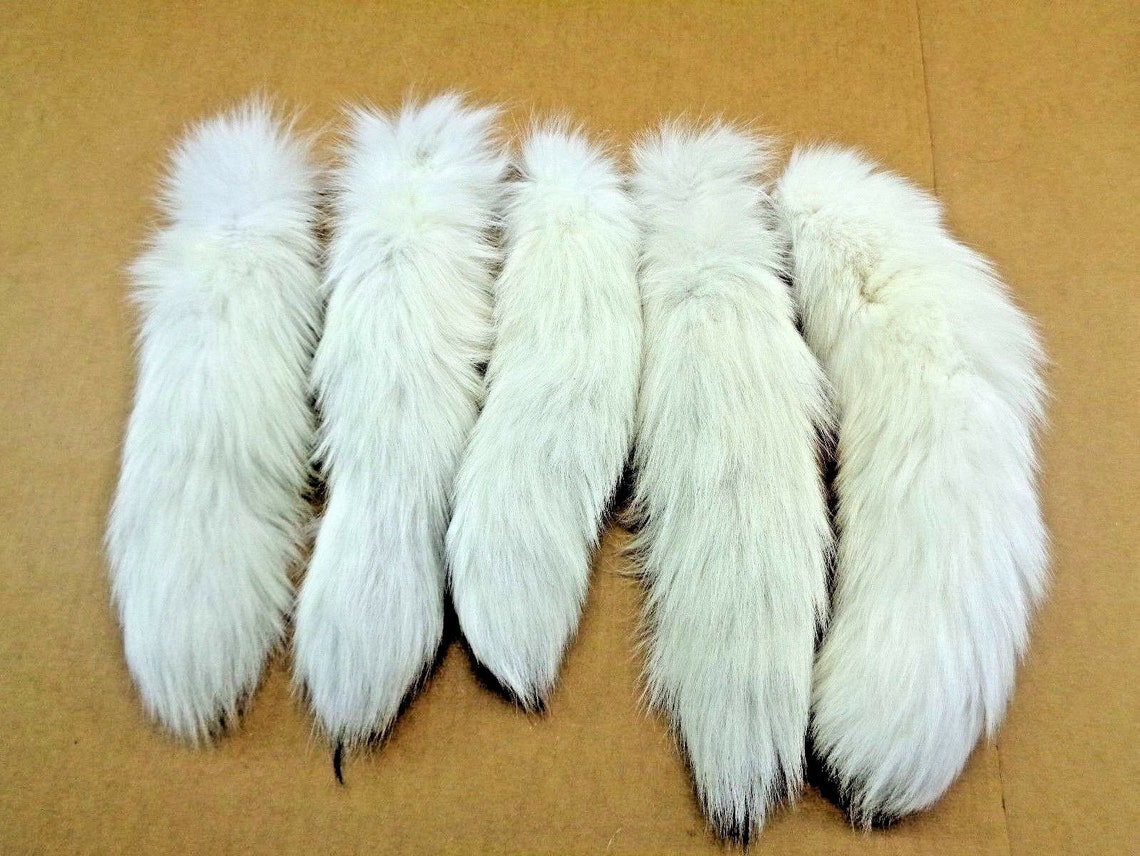 Real XL Tanned Arctic White Fox Tail 14-16 Grade 1 | Etsy