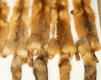 Red Fox Hides - Etsy