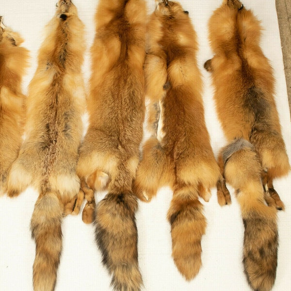 Fox Pelt - Etsy