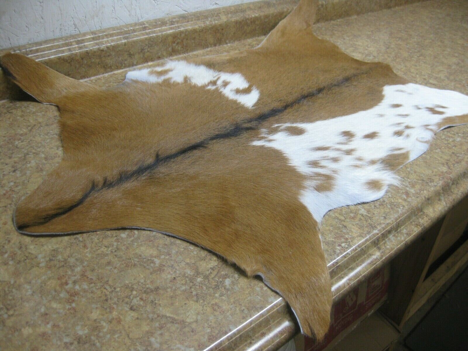 Home & Living Home Décor 37 x 25 Hair On Real Goat Hide Pelt Skin Soft ...