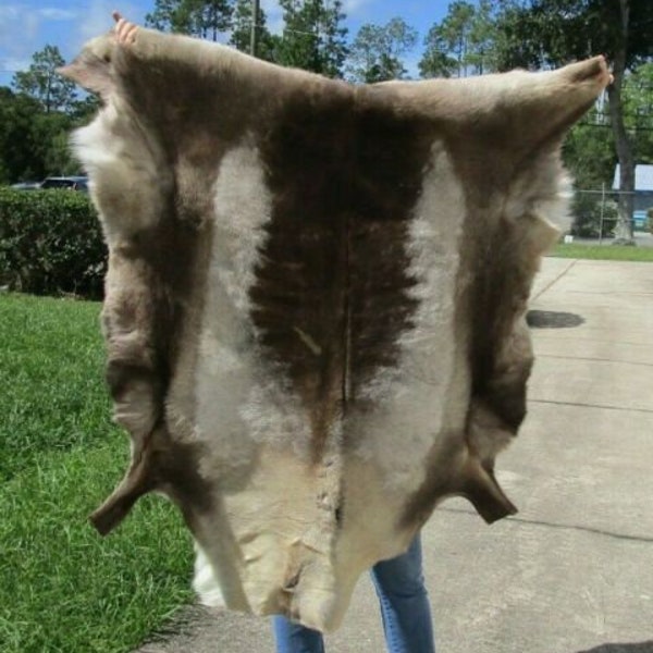 Moose Hide - Etsy