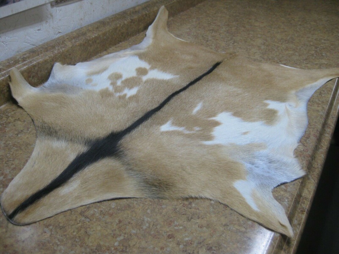Real Goat Hide Pelt Skin Soft Tanned 29 X 22 - Etsy