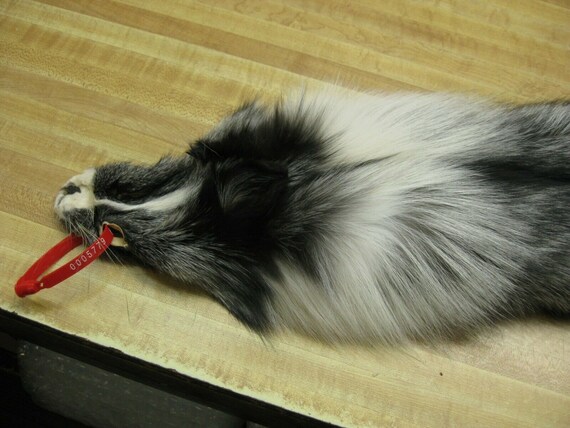 Real Animal Mutations